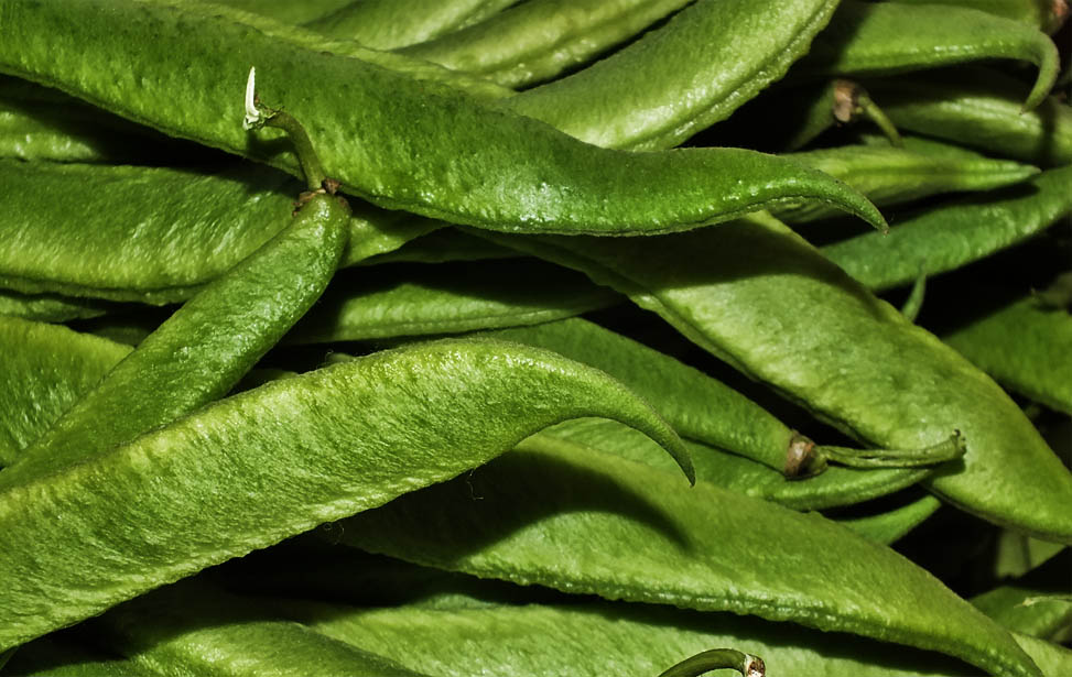 BCF | Runner beans...